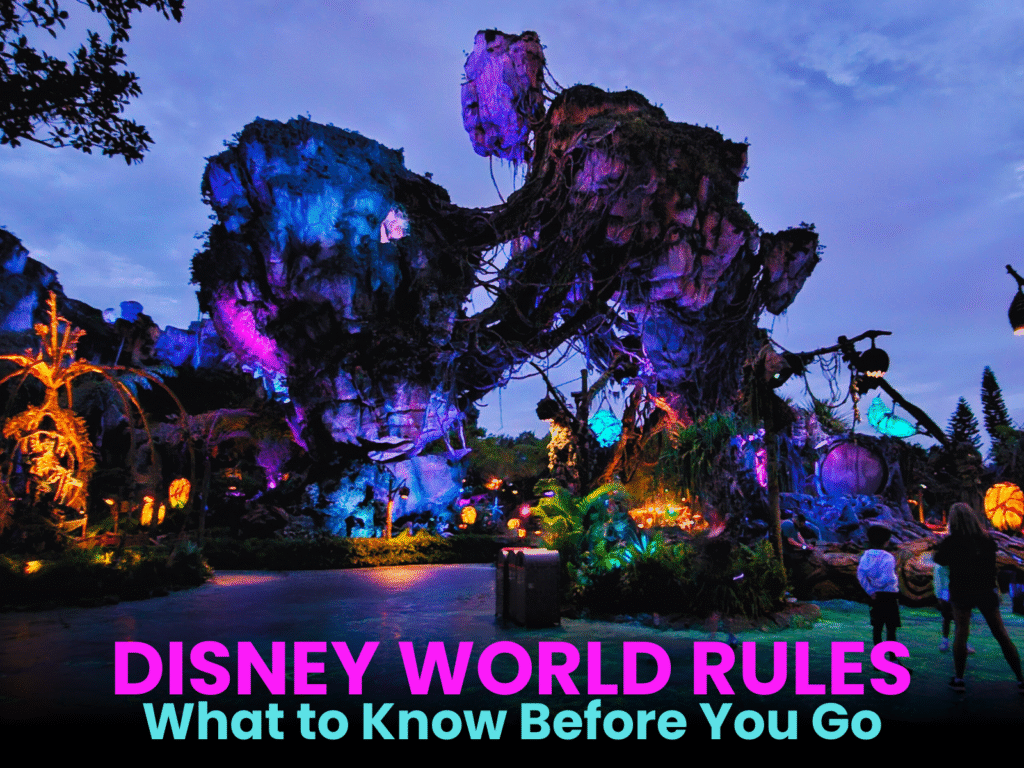 Know Before You Go: Walt Disney World Rules - everlandjourneys.com